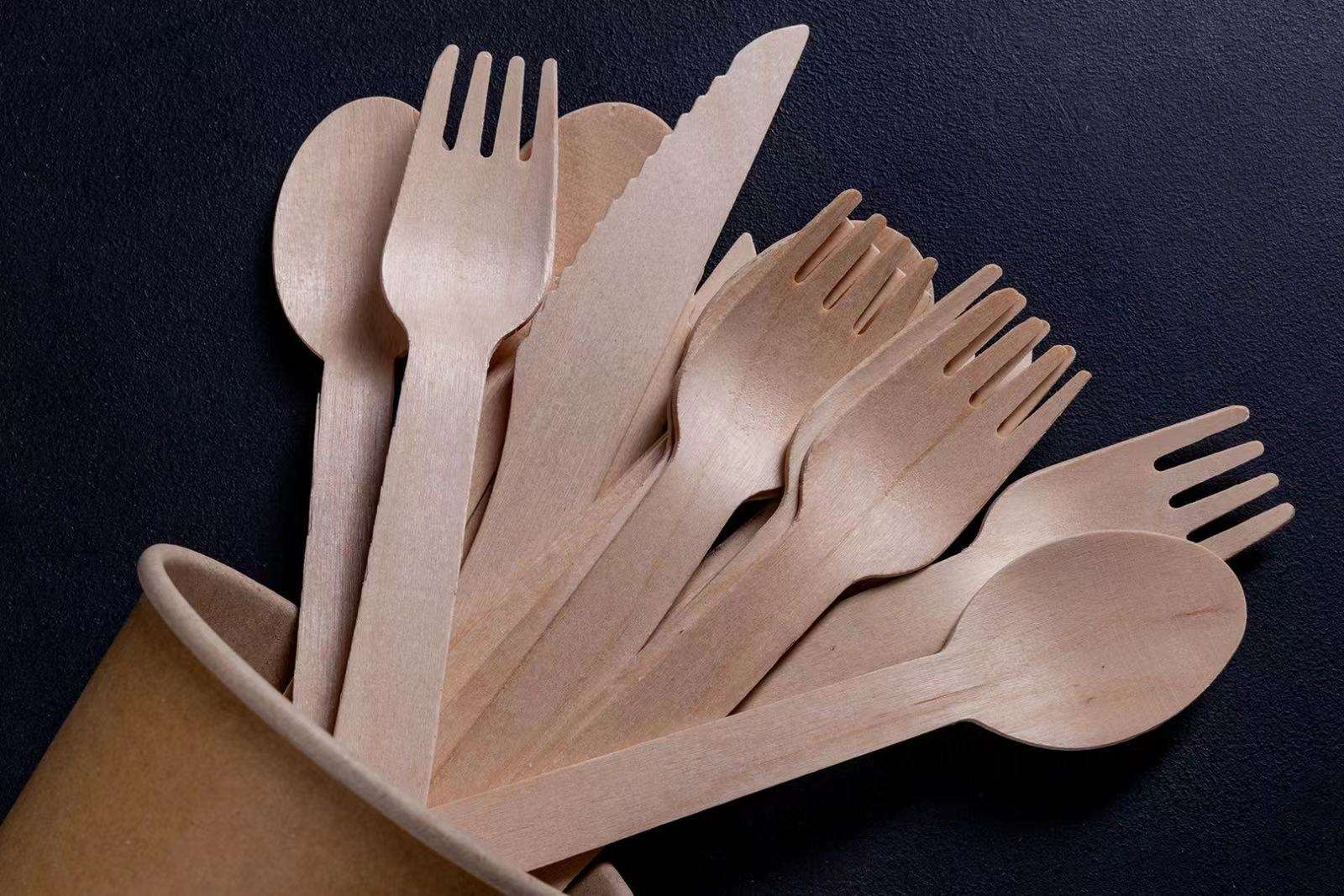 Premium Paper Cutlery - Eco-Friendly & Disposable